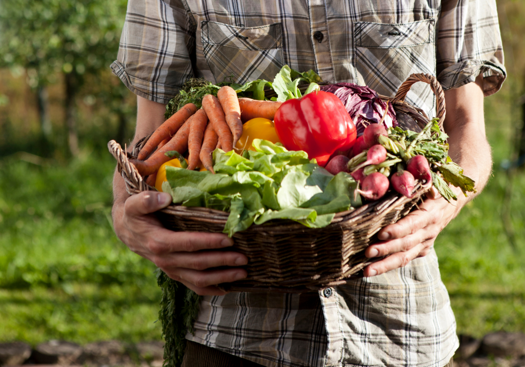 Nourish Your Body with Real, Single-Ingredient Food – Diet and Health